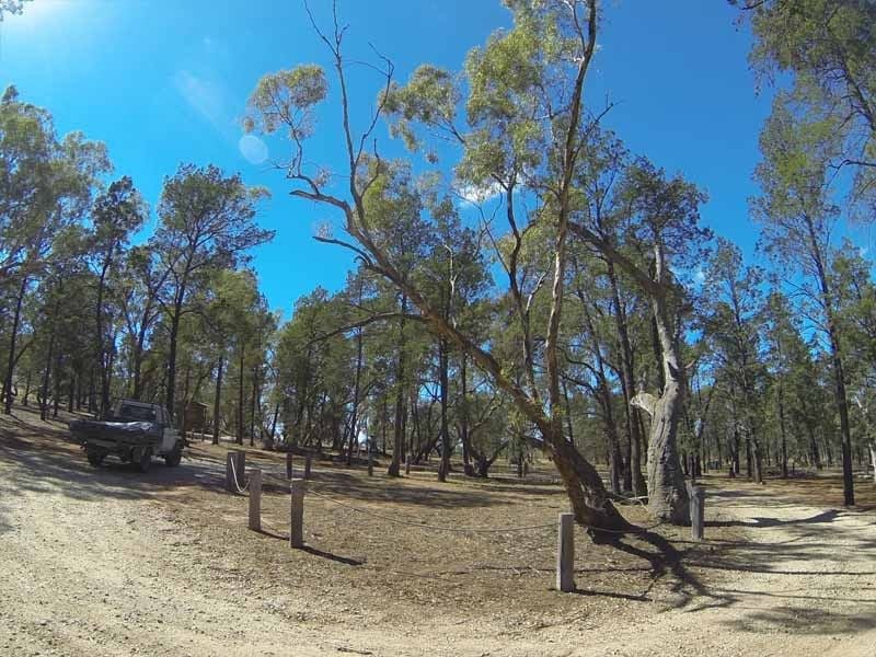 Terrick Terrick National Park, Mitiamo